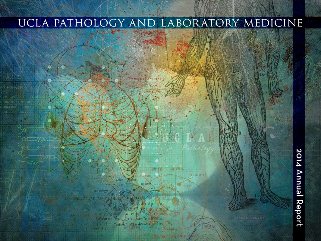 UCLA Sciences – Landesmann Design