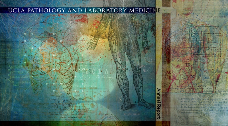 UCLA Sciences – Landesmann Design